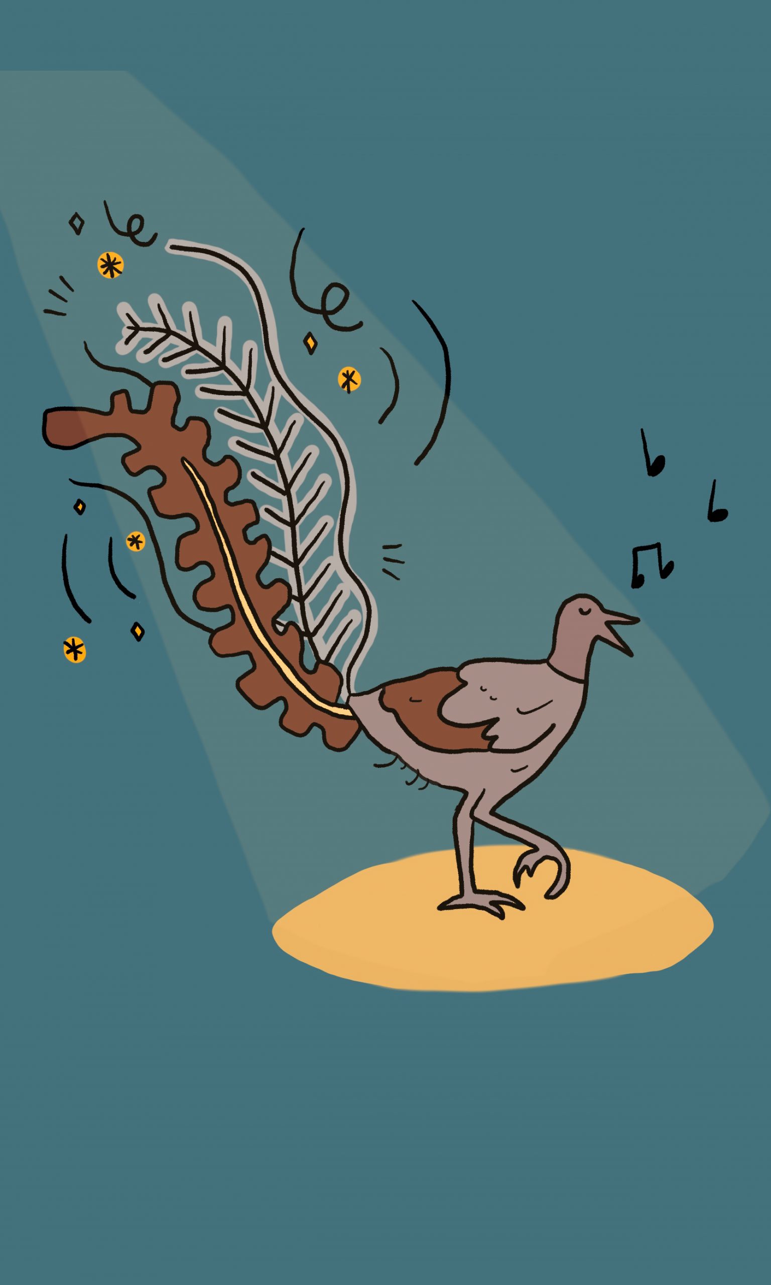 You're a Superb Lyrebird! - Aussie Bird Count - Aussie Bird Count