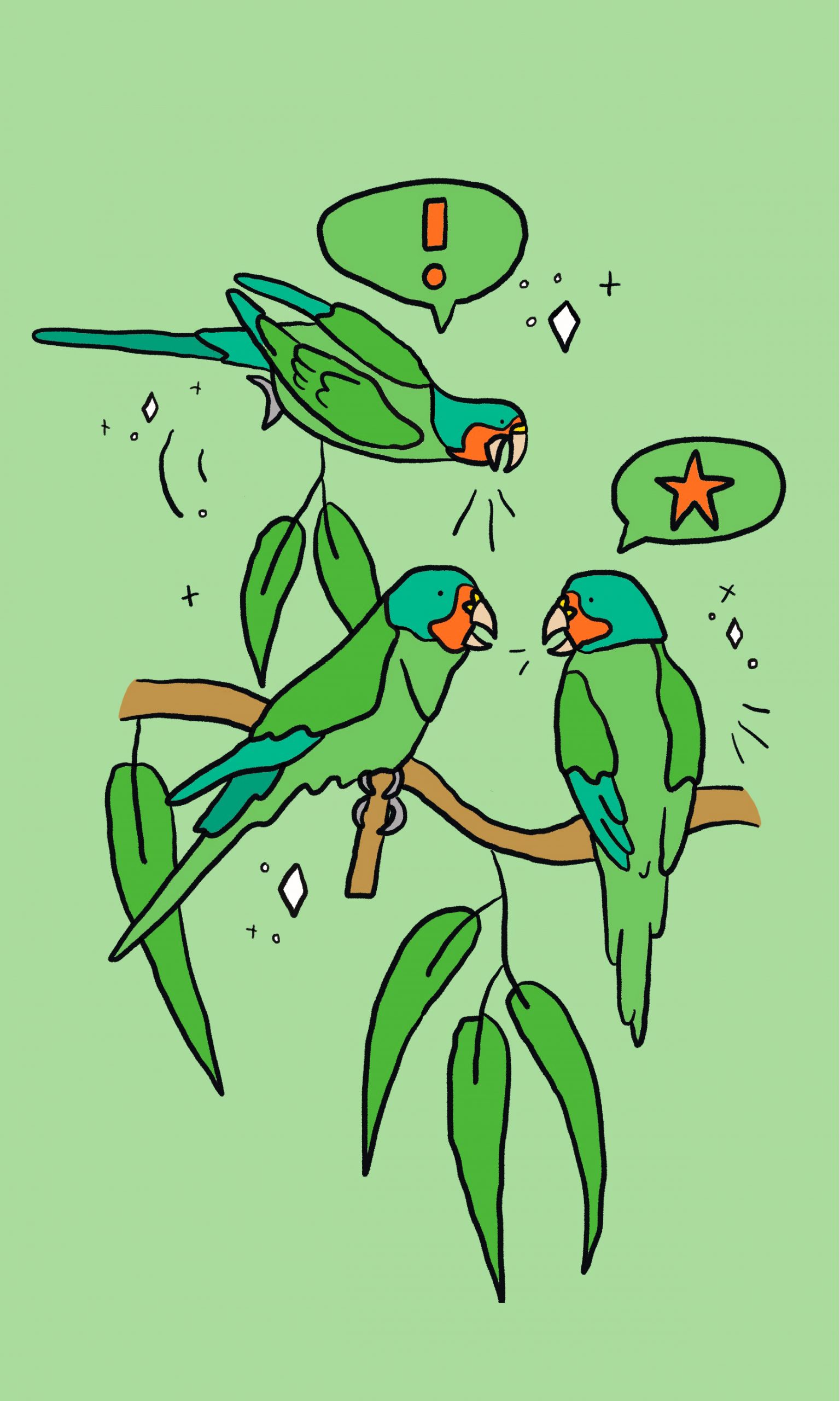 You're a Swift Parrot! - Aussie Bird Count - Aussie Bird Count