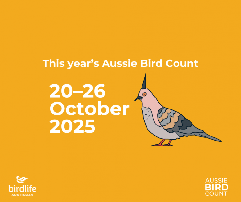 2024 Results - Aussie Bird Count