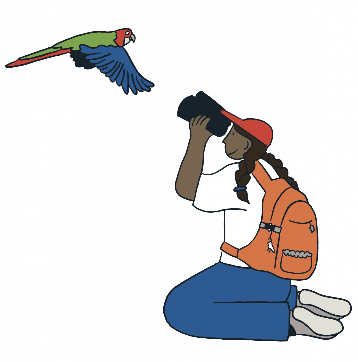 FAQ - Aussie Bird Count