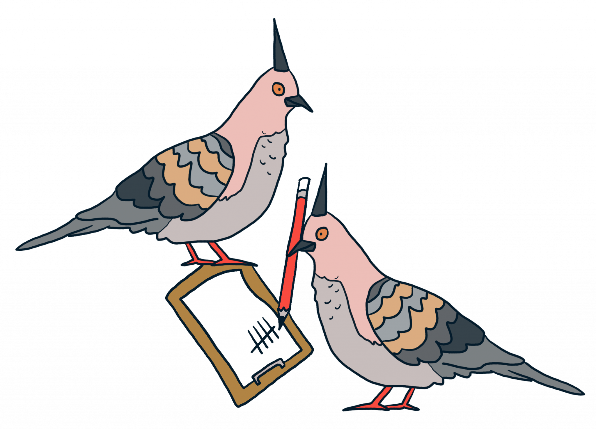 Businesses - Aussie Bird Count