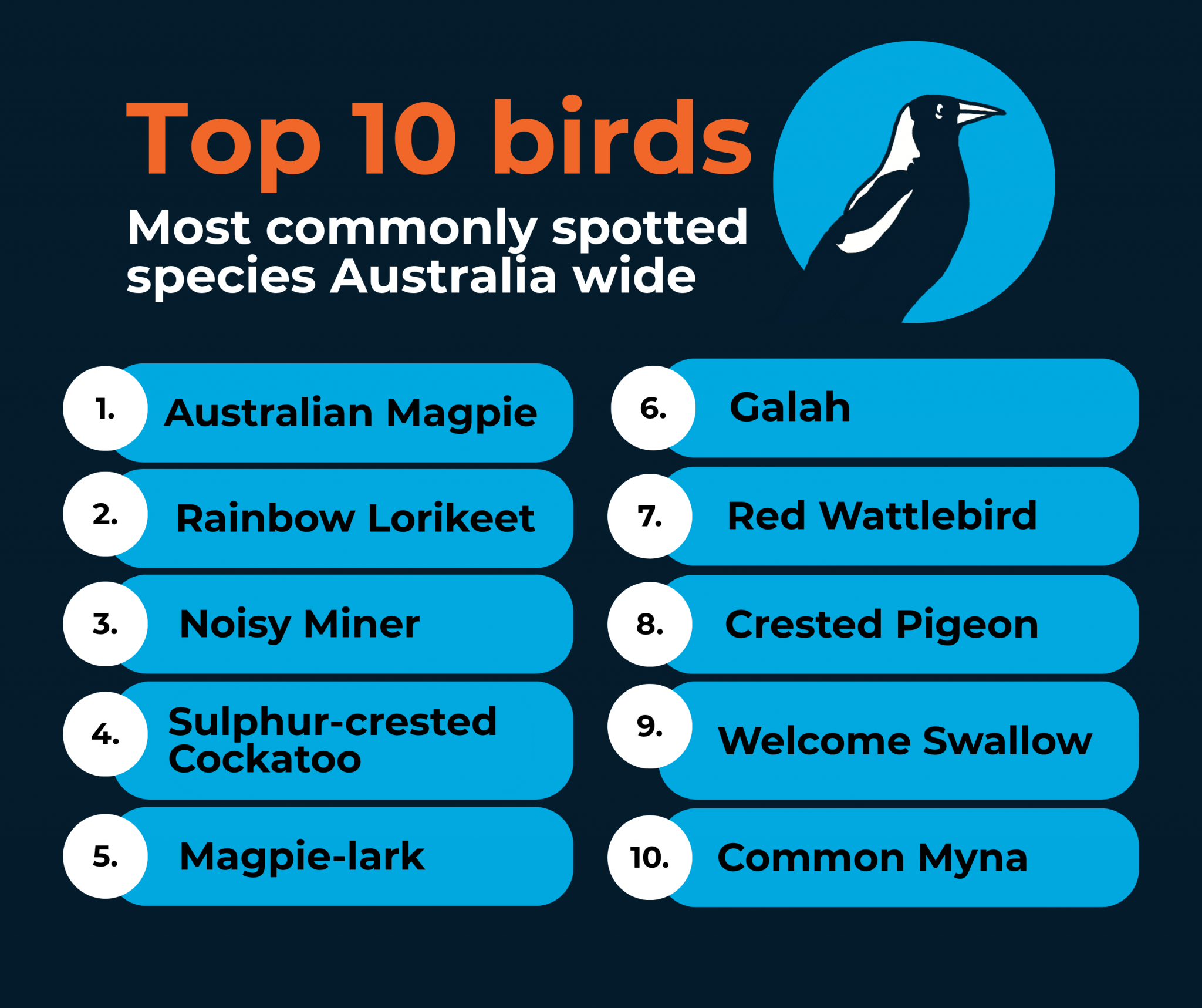 2025 Results - Aussie Bird Count