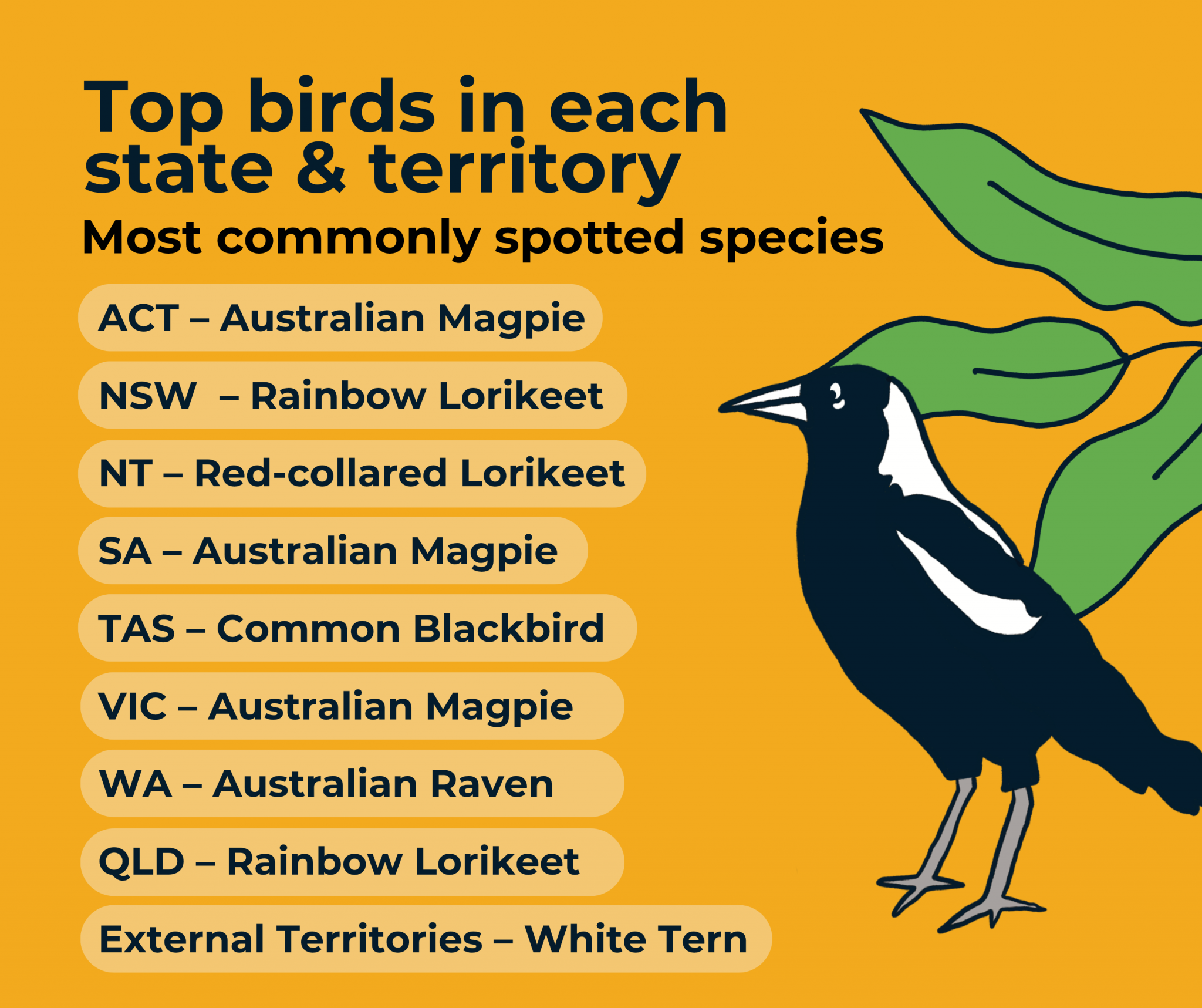 2025 Results - Aussie Bird Count